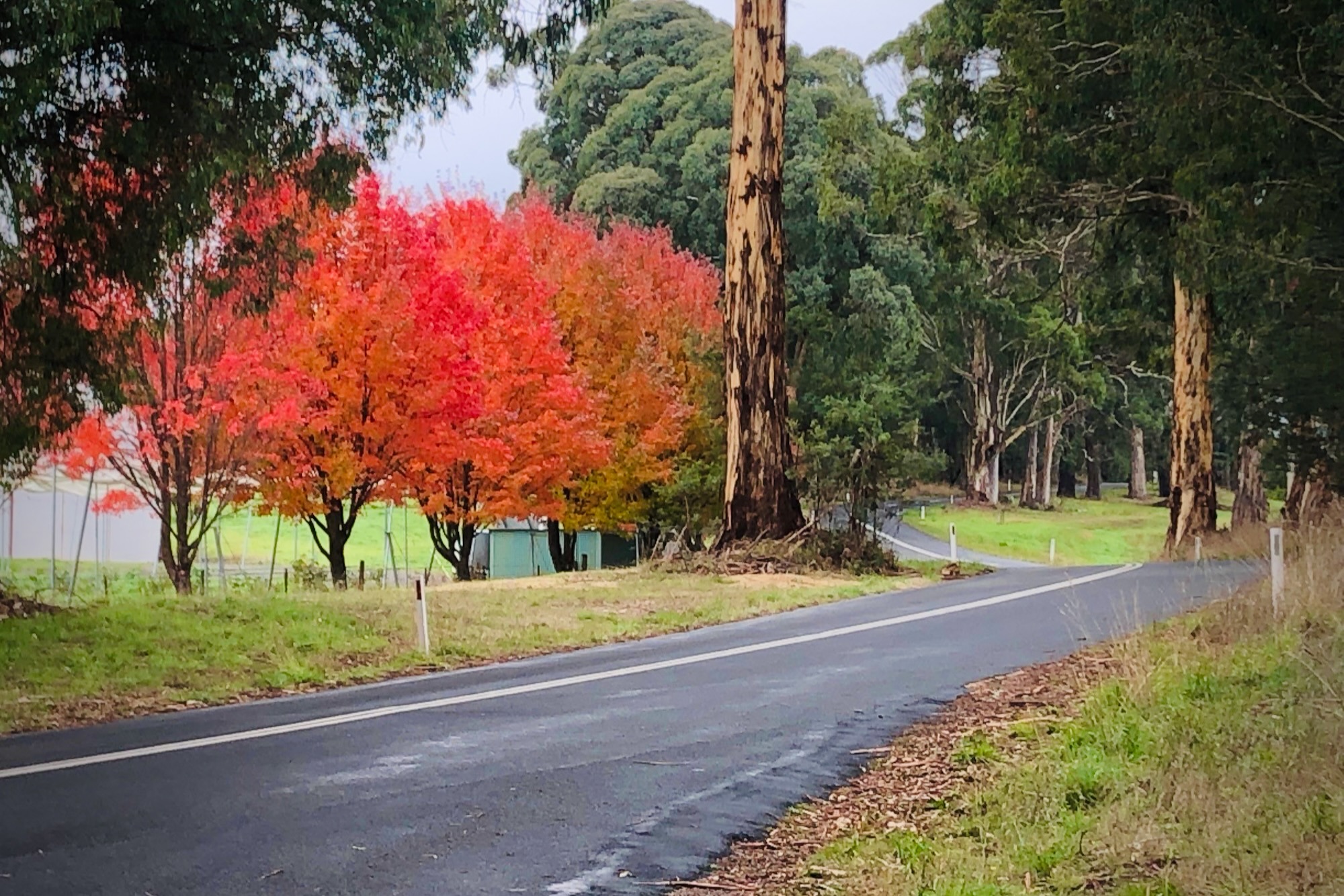About the Tour - The Autumn Glory Tour of North East Victoria